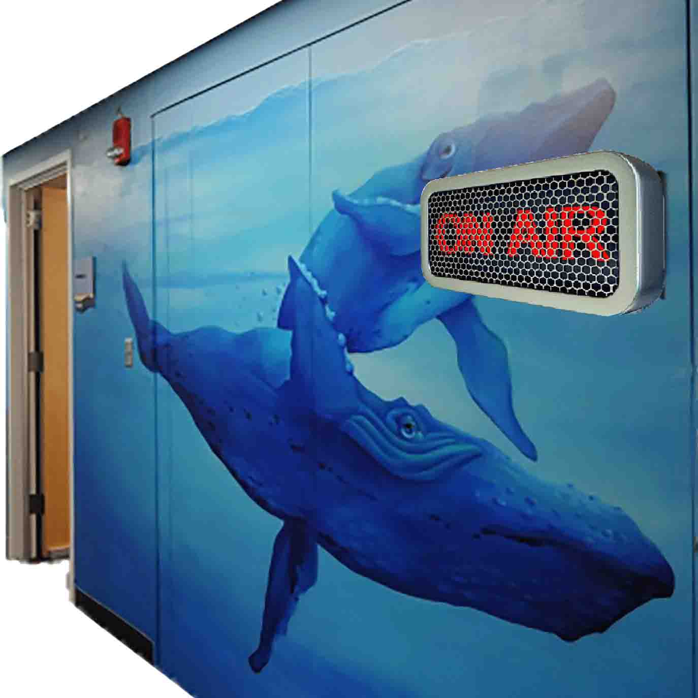 Our History - Eckel Studios